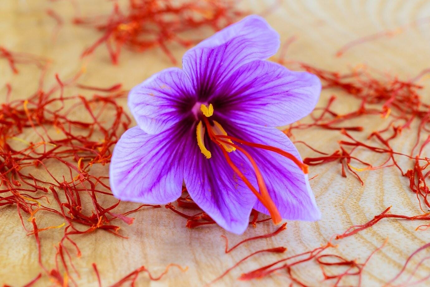 9 Secret Benefits Of Saffron For Skin & How To Use It? - The Modern Womanly